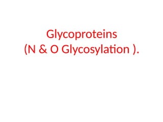 glycoproteins N and O glycosylation synthesis and functions | PPT