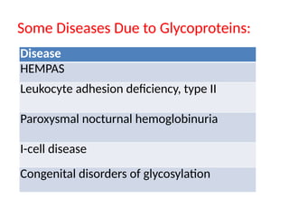 glycoproteins N and O glycosylation synthesis and functions | PPT