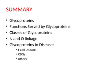 glycoproteins N and O glycosylation synthesis and functions | PPT