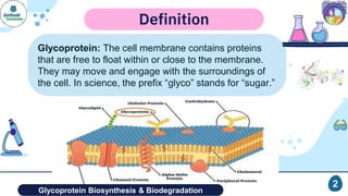 Glycoprotein for Food and Nutrition Engineers.pptx