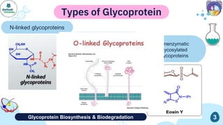 Glycoprotein for Food and Nutrition Engineers.pptx