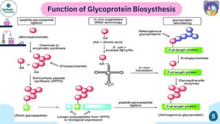 Glycoprotein for Food and Nutrition Engineers.pptx