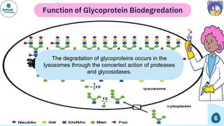 Glycoprotein for Food and Nutrition Engineers.pptx
