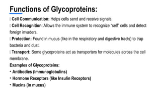 Glycoproteins and Glycolipids REPORT.pptx