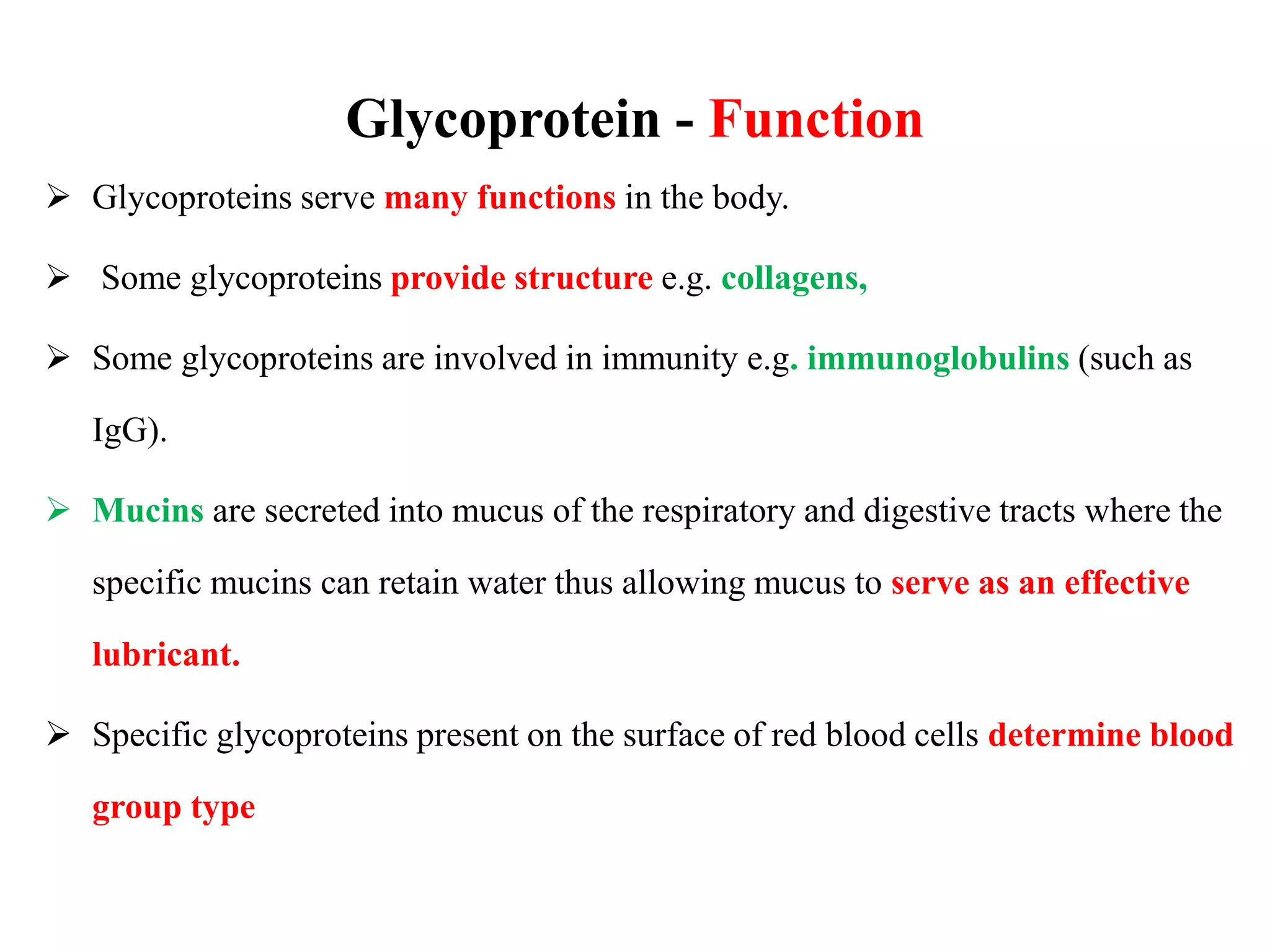Glycoproteins and lectin ( Conjugated Carbohydrate) | PPTX