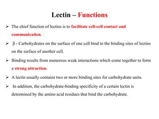 Glycoproteins and lectin ( Conjugated Carbohydrate) | PPTX | Blood ...