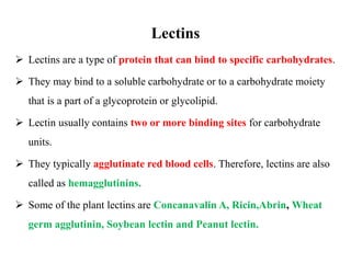 Glycoproteins and lectin ( Conjugated Carbohydrate) | PPTX | Blood ...