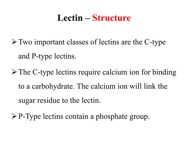 Glycoproteins and lectin ( Conjugated Carbohydrate) | PPTX | Blood ...