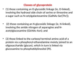 biochemistry of Glycoproteins (Class).ppt