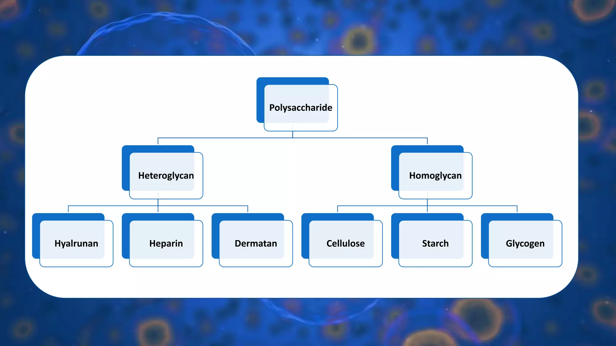 Glycosaminoglycams+Glycoconjugates (2) final.pptx