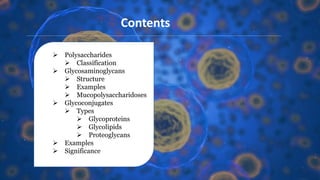 Glycosaminoglycams+Glycoconjugates (2) final.pptx