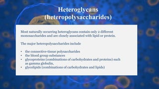 Glycosaminoglycams+Glycoconjugates (2) final.pptx