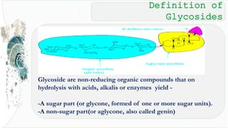 Glycoside | PPTX
