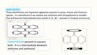 Glycosides | PPTX
