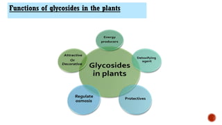 Glycosides 2021 (Introduction) | PDF