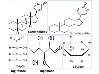 Glycosides ppt Pharmacognosy pharmacy studies | PPT