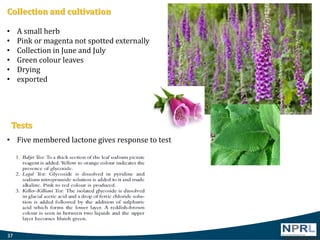 Comprehensive Study of Glycosides: Chemistry, Cultivation, and Uses | PDF