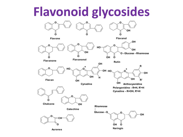 GLYCOSIDES-Introduction & Classification.pdf | Chemistry | Science