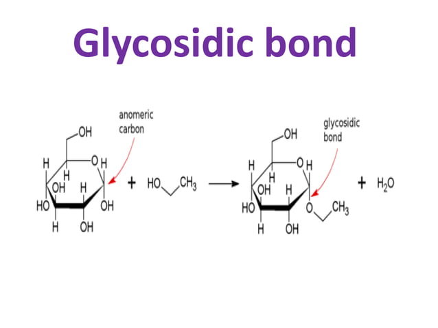 GLYCOSIDES-Introduction & Classification.pdf | Chemistry | Science