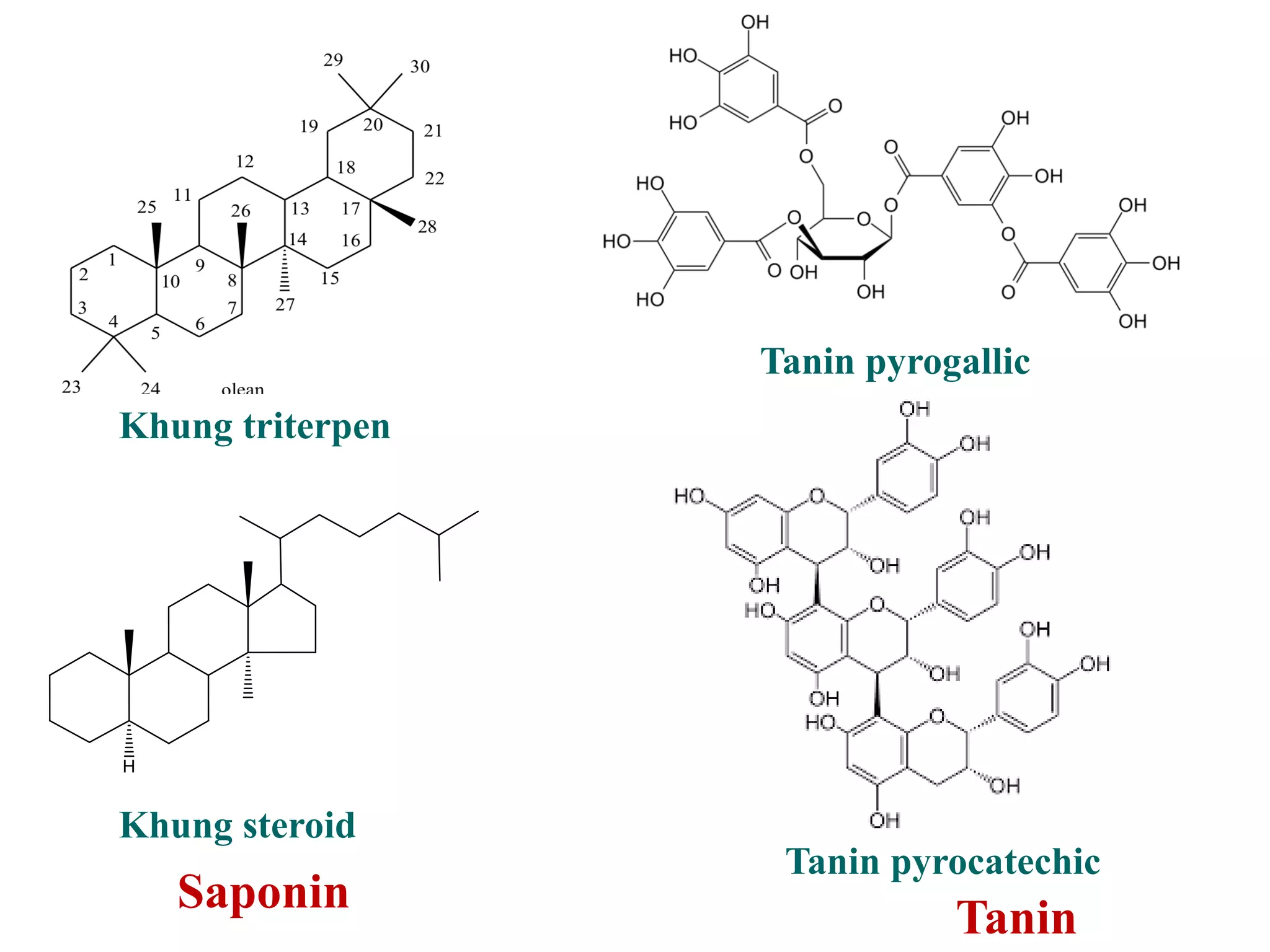 Glycosid tim va duoc lieu chua glycosid tim | PDF