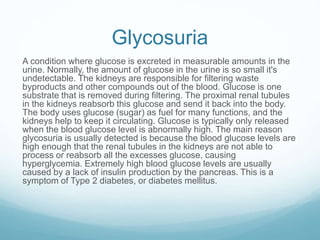 Glycosuria and Polyuria Presentation | PPTX | Endocrine and Metabolic ...