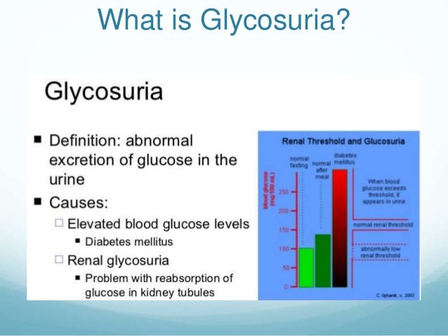 Glycosuria and Polyuria Presentation
