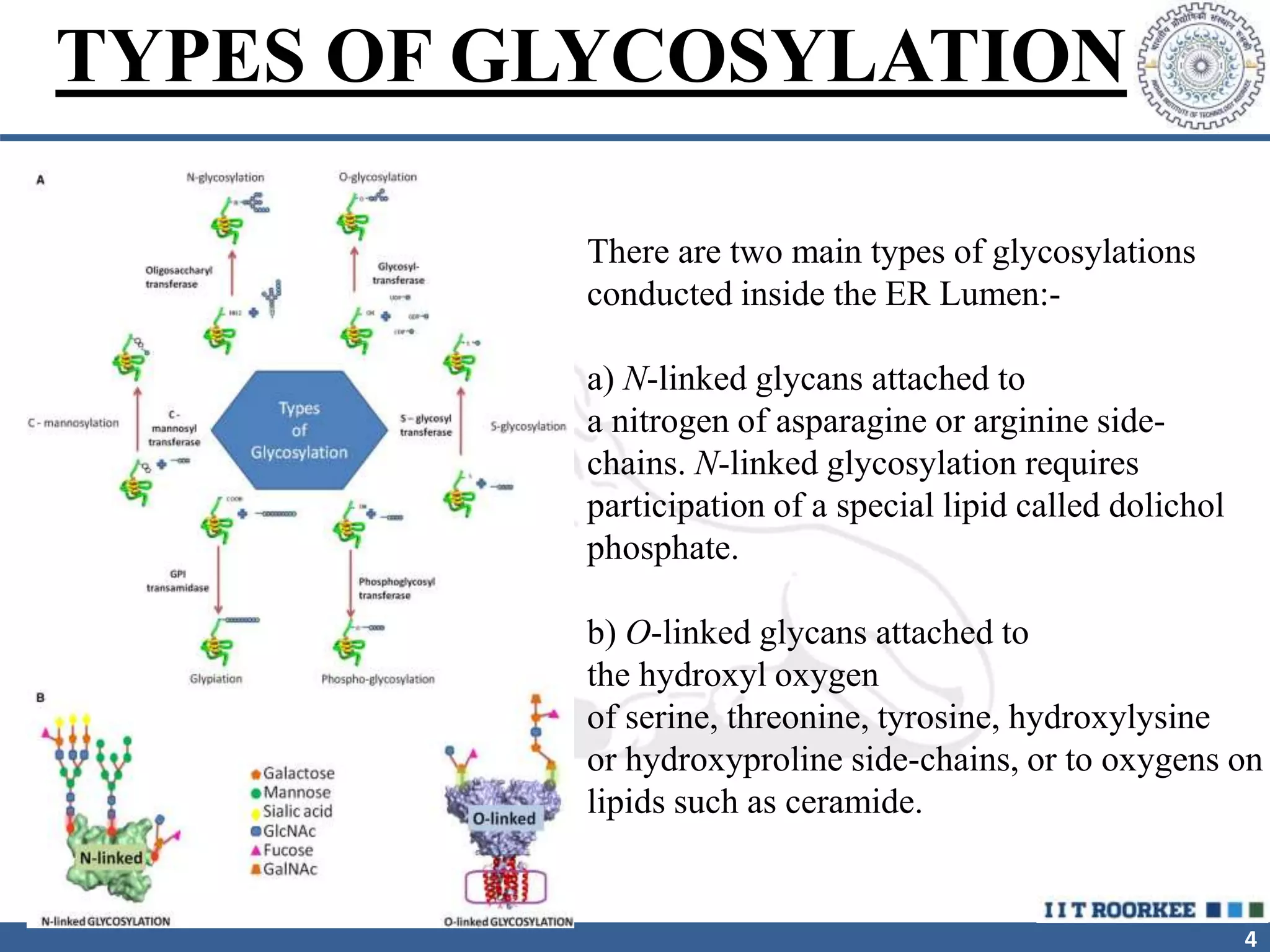 Glycosylation | PPTX