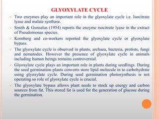 Glyoxylate Cycle- Basic idea and biochemical cycle with importane | PDF