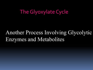Glyoxylate cycle PATHWAYS REACTION | PPTX