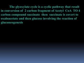 Glyoxylate cycle PATHWAYS REACTION | PPTX
