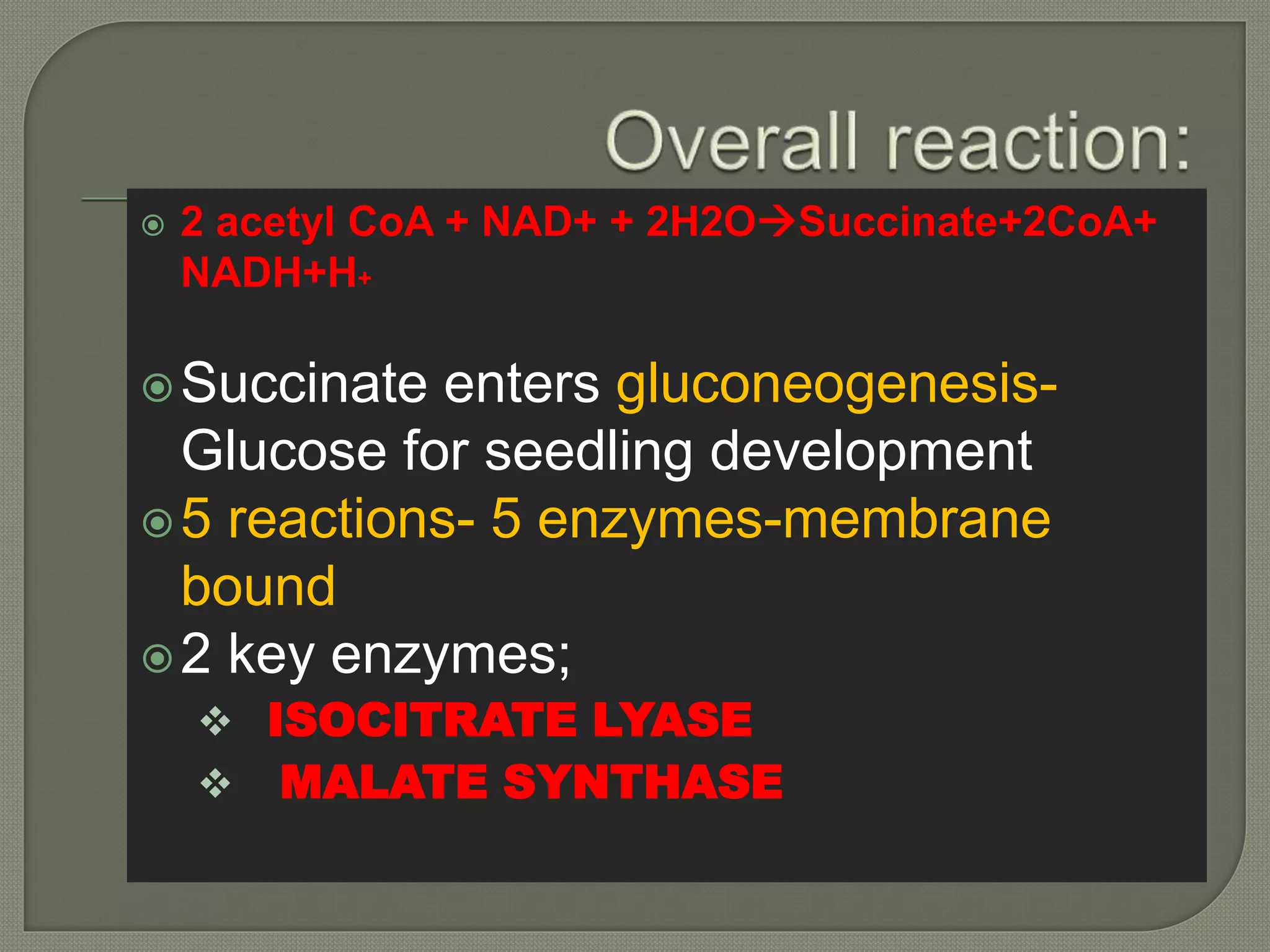 Glyoxylate cycle | PPTX