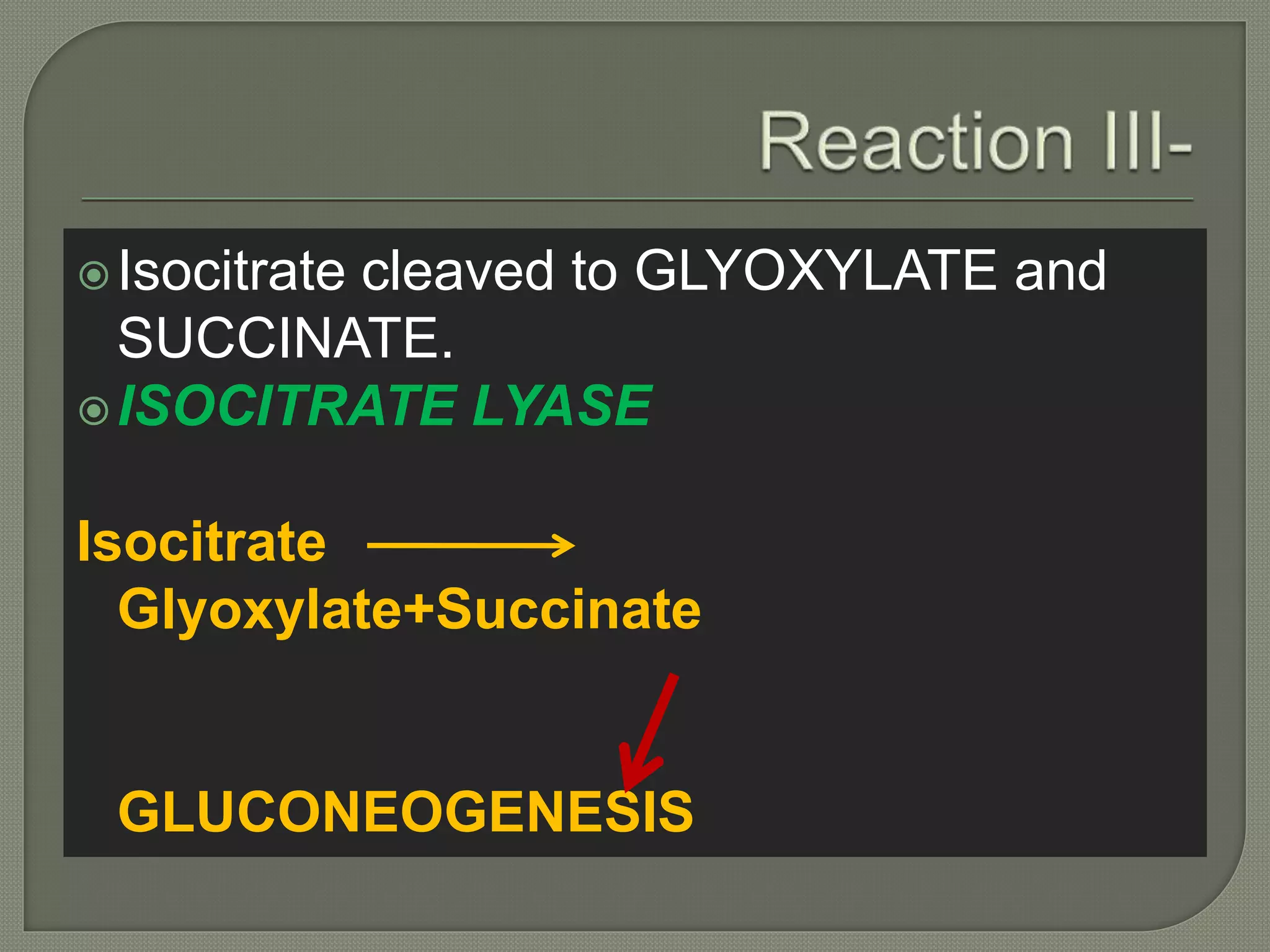 Glyoxylate cycle | PPTX