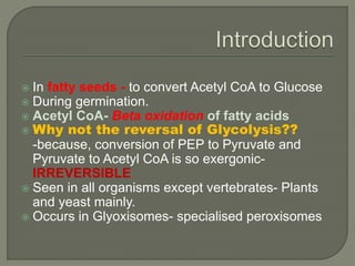 Glyoxylate cycle | PPTX