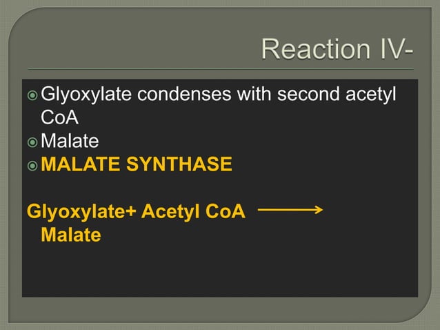Glyoxylate cycle | PPTX