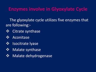 Glyoxysome | PPTX