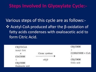Glyoxysome | PPTX