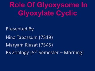 Glyoxysome | PPTX