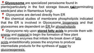 Glyoxysome | PDF