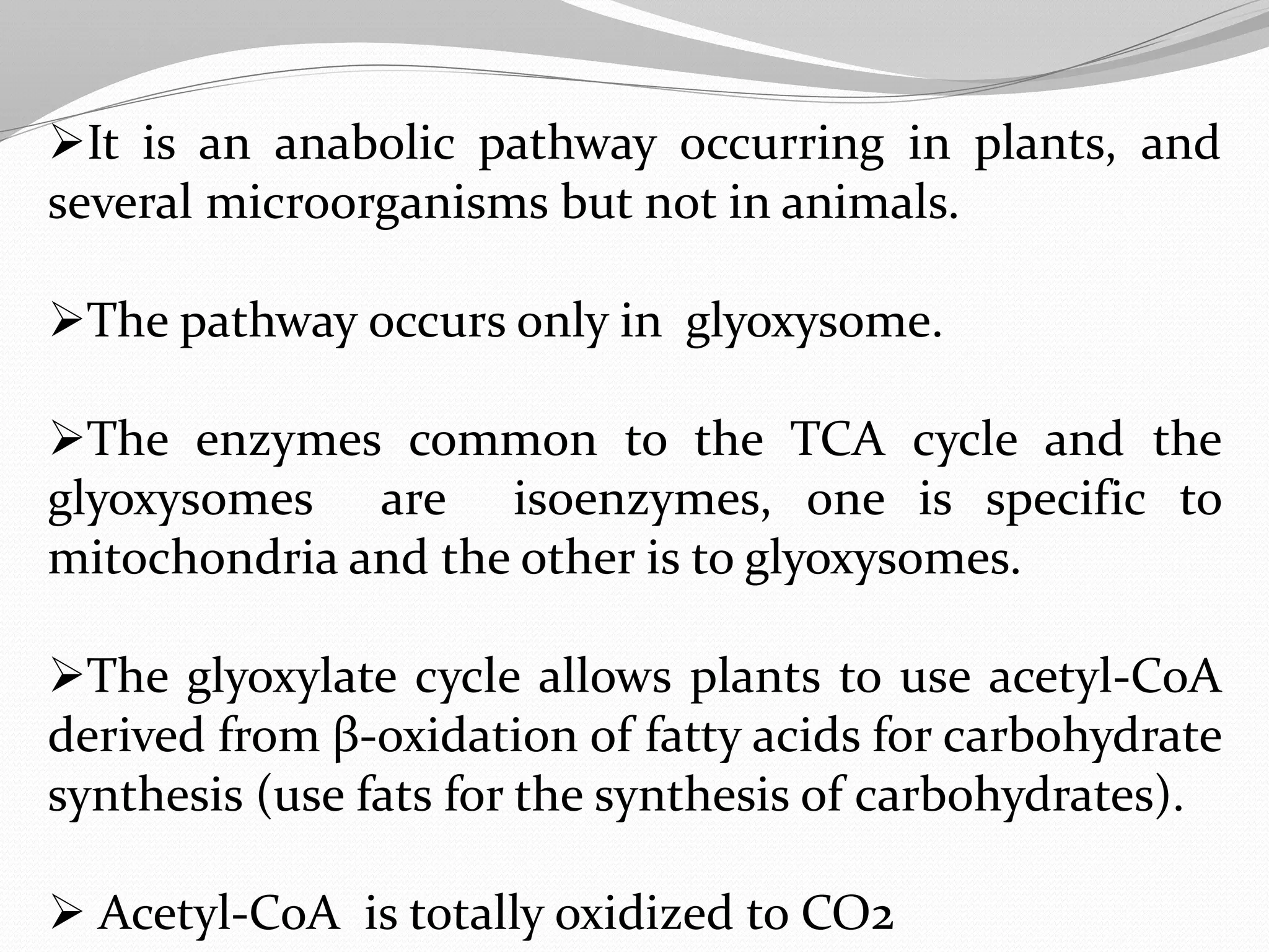 Glyoxysomes | PDF
