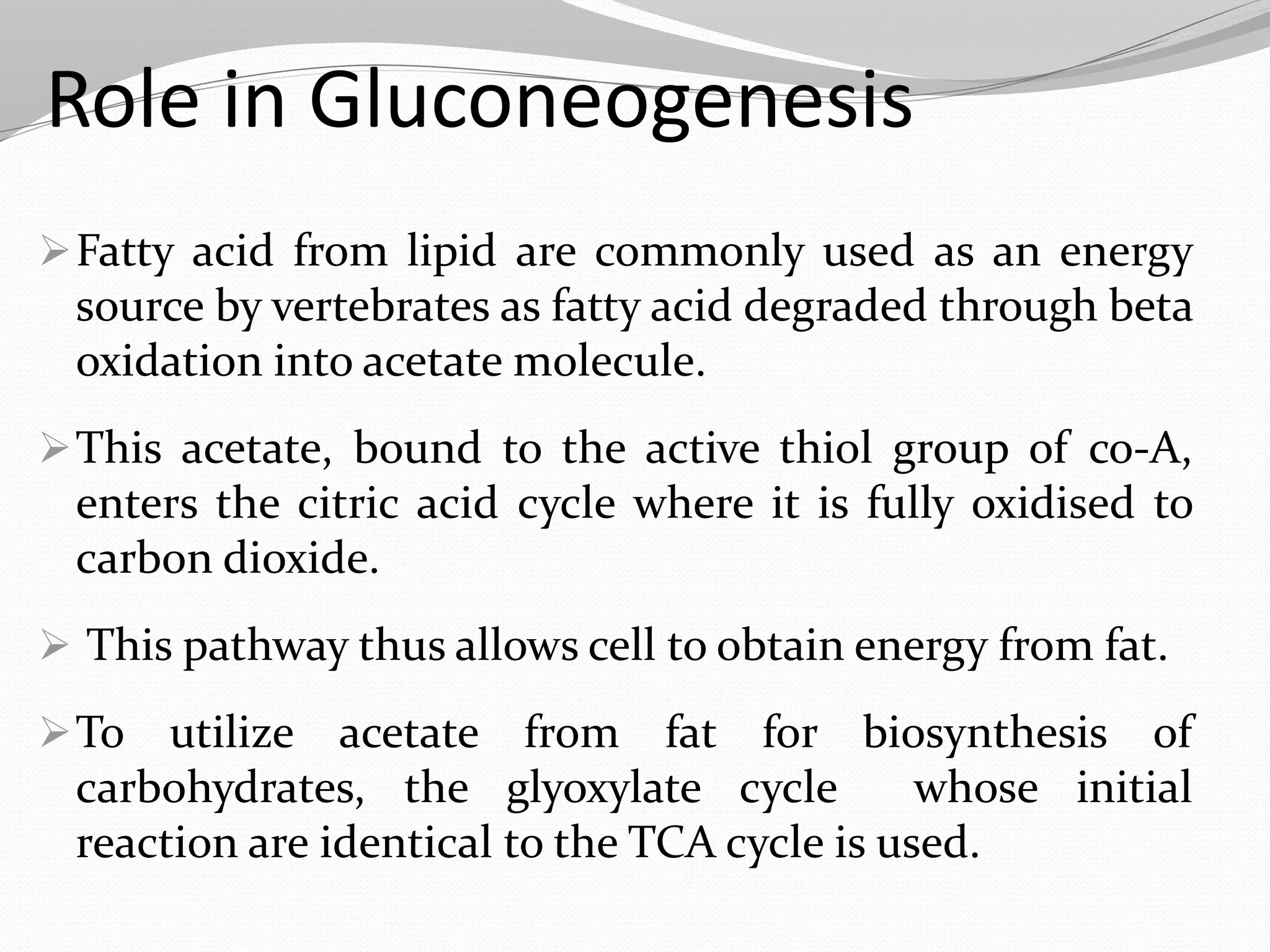 Glyoxysomes | PDF