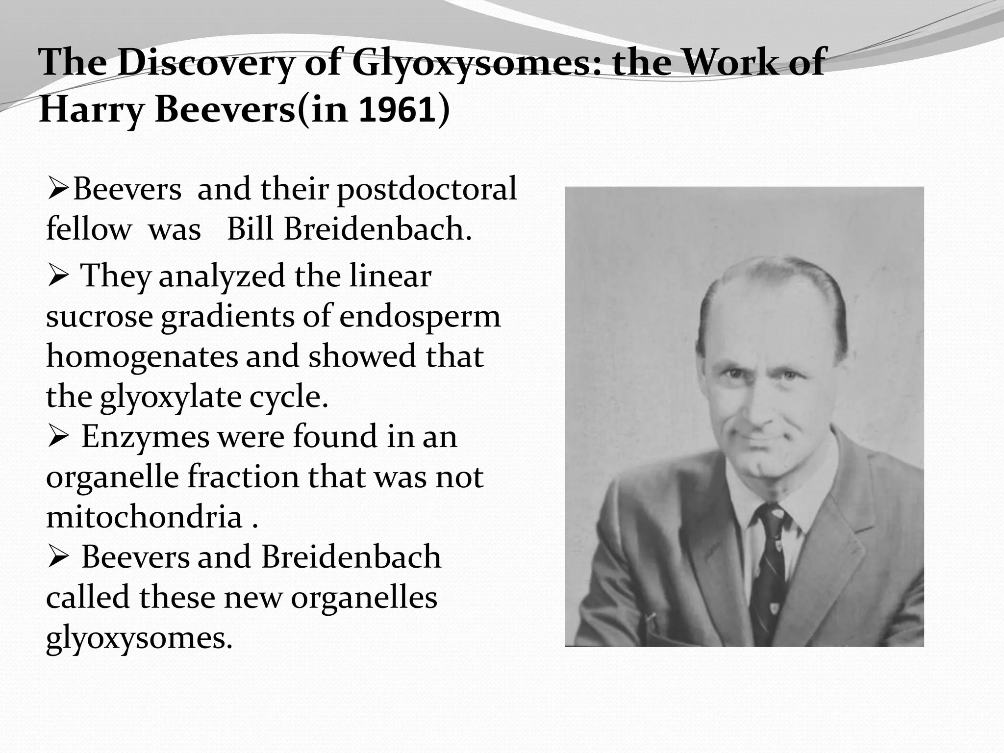 Glyoxysomes | PDF