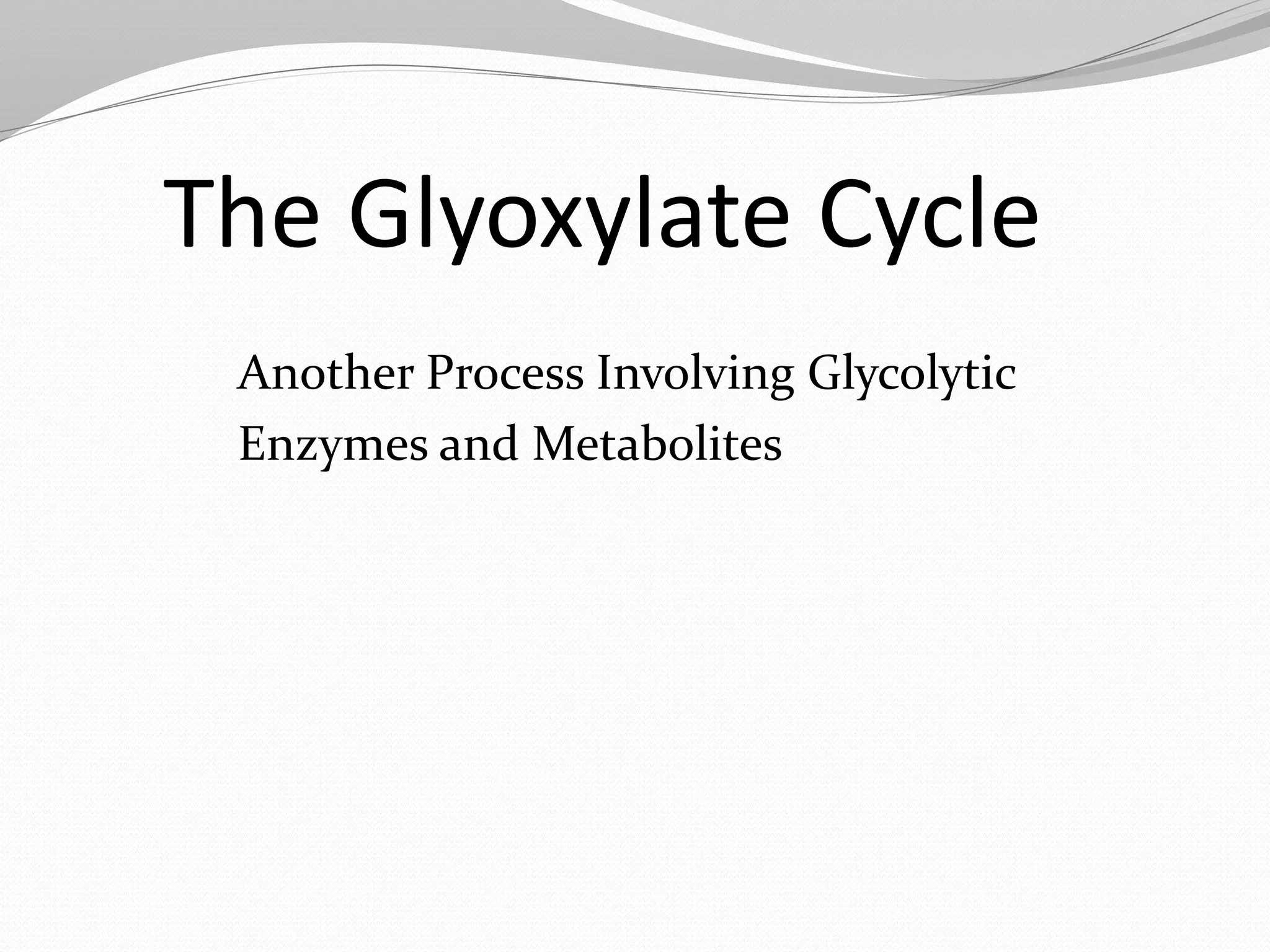 Glyoxysomes | PDF
