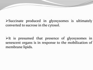 Glyoxysomes | PDF