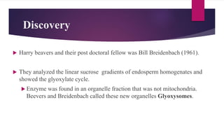 Glyoxysomes, their functions and working mechanism.pptx