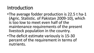 Potential of legume fodders in Potohar | PPTX