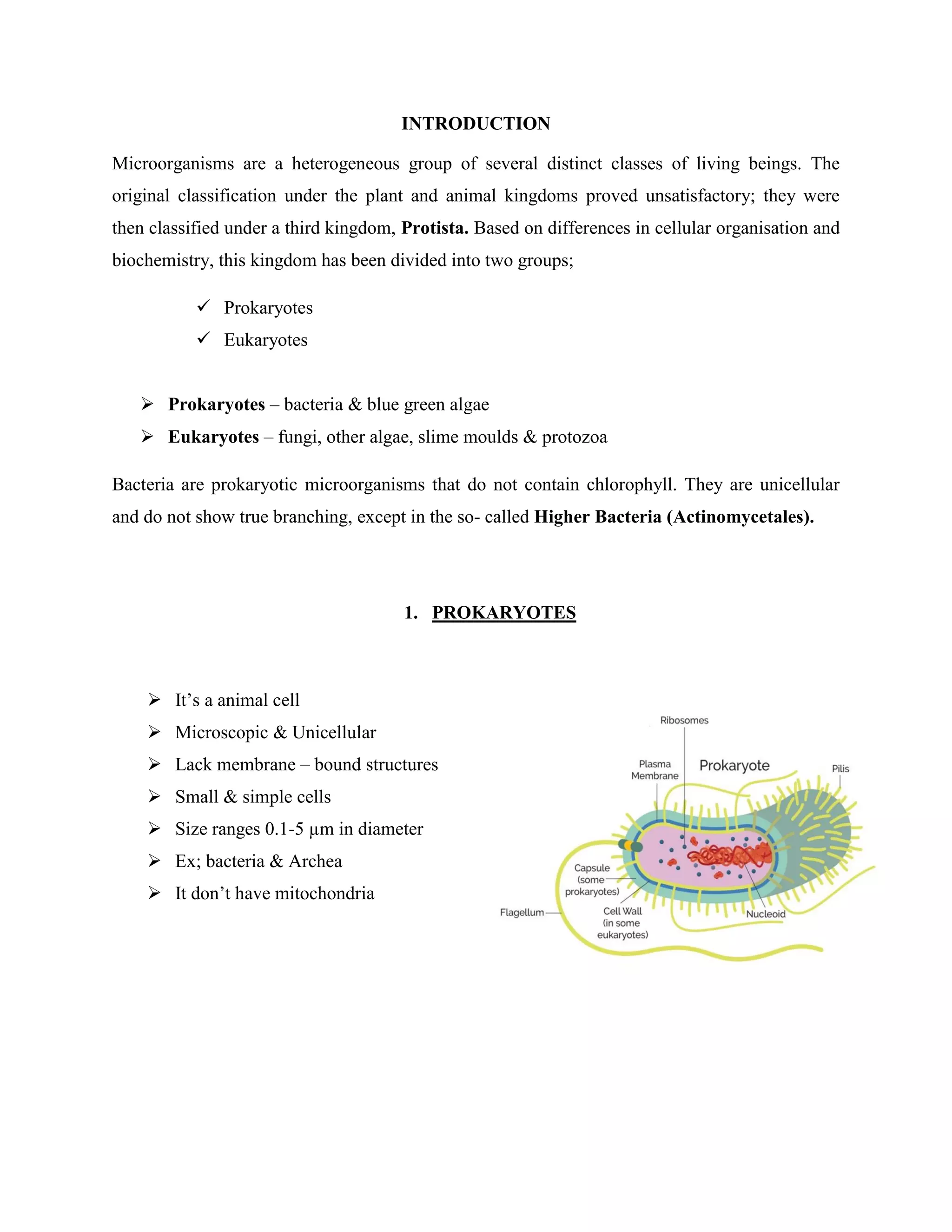 general microbiology- prokaryotes vs eukaryotes | PDF
