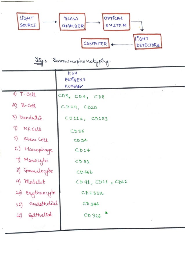 CLUSTER OF DIFFERENTIATION | PDF