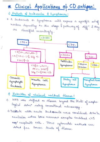 CLUSTER OF DIFFERENTIATION | PDF