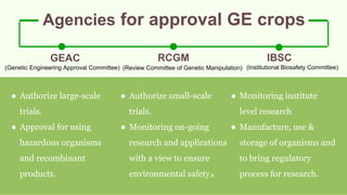 gmc biosafetypptx.pptx