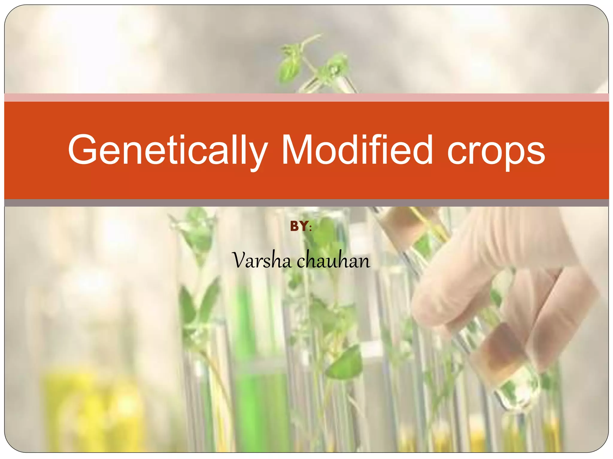 genetic modified crops | PPTX